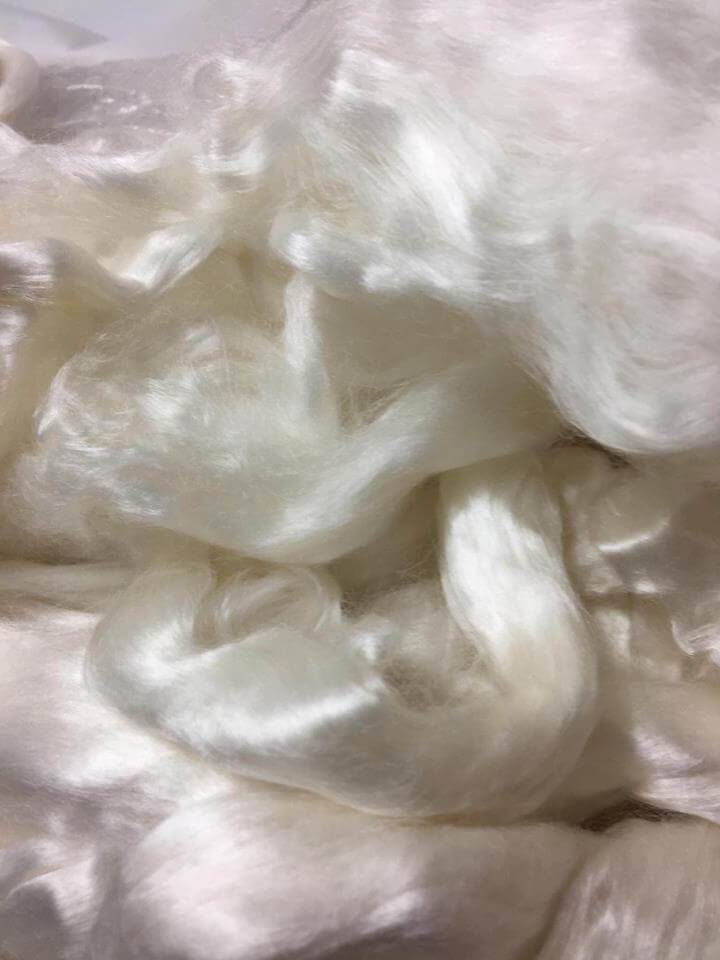 SeaCell_Fiber_1024x1024.jpg?v=1704237218